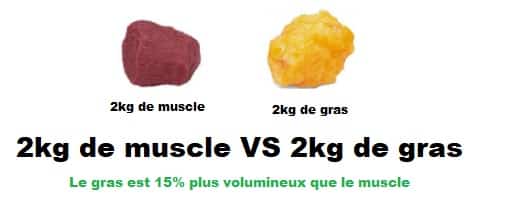 Volume graisse et masse musculaire - Rorocoaching